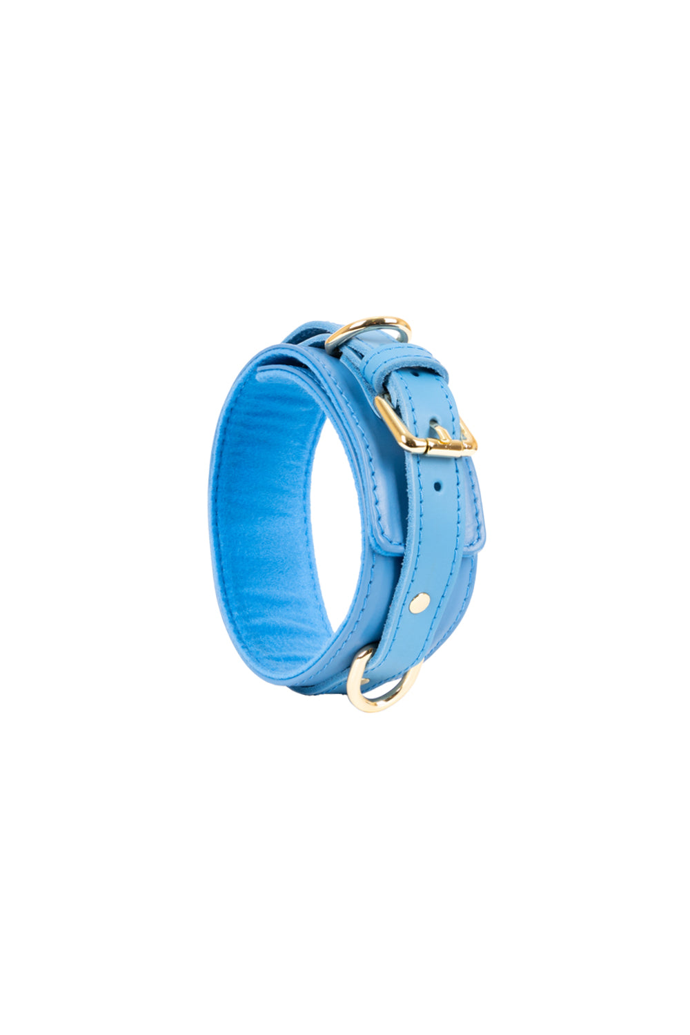 Leather Choker. Blue